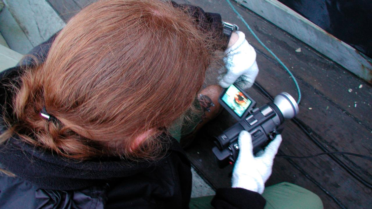 All About Anna | Danish Film Institute