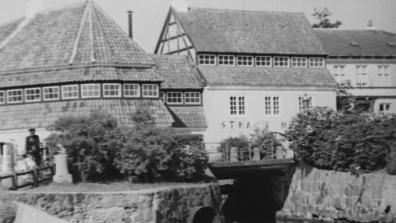 The river with the nine mills | Danish Film Institute